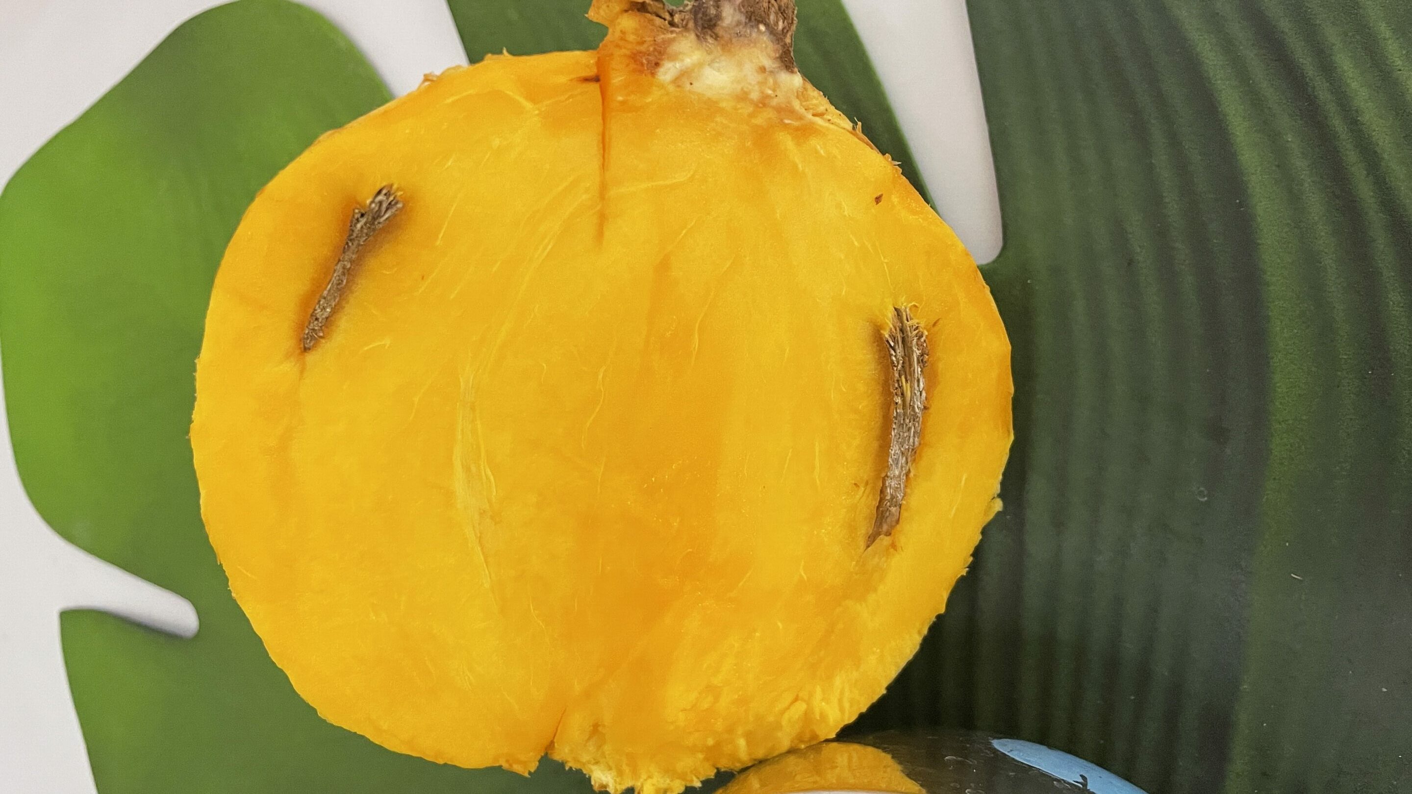 Abricot-pays ou abricot des Antilles - Saveurs K